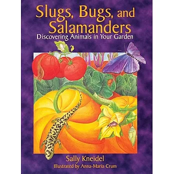 博客來-Slugs, Bugs and Salamanders: Discovering Animals in Your Garden