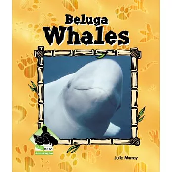 博客來-Beluga Whales