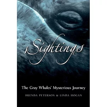 博客來-Sightings: The Gray Whales’ Mysterious Journey