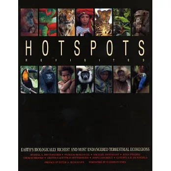 博客來-Hotspots Revisited