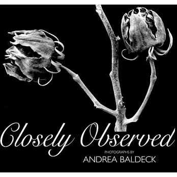 博客來-Closely Observed