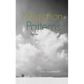博客來-Migration Patterns: Stories