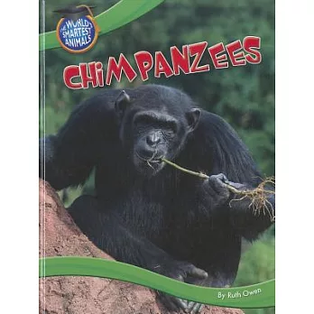 博客來-Chimpanzees