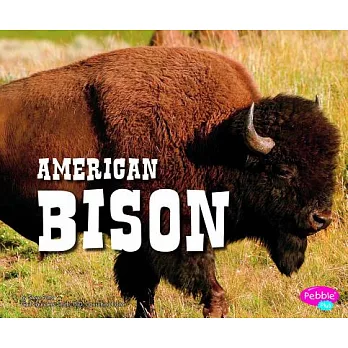 博客來-American Bison