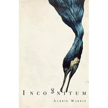 博客來-Incognitum