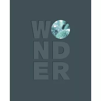 博客來-Wonder