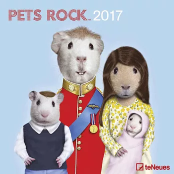 博客來-Pets Rock: 2017 calendar