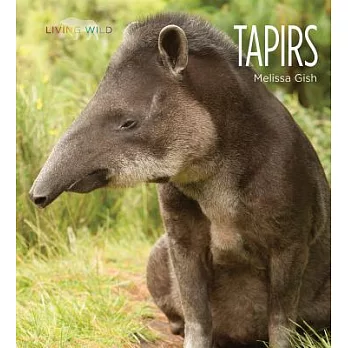 博客來-Tapirs