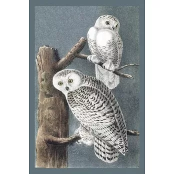 博客來-Journal: Snowy Owl 6x9 - GRAPH JOURNAL - Journal with graph paper ...
