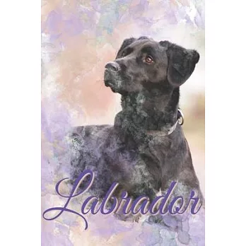 博客來-Labrador - Composition book: Labrador gifts for girls and women ...