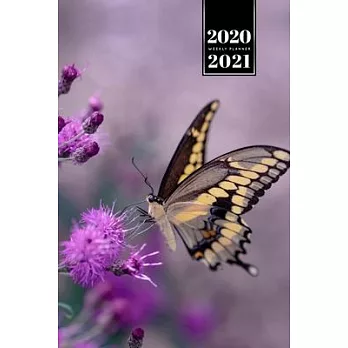 博客來-Butterfly Butterflies Insect Week Planner Weekly Organizer Calendar ...