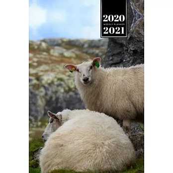博客來-Sheep Lamm Shepherd Herder Farmer Week Planner Weekly Organizer ...
