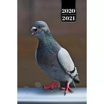 博客來-Pigeon Ornithology Bird Watching Birding Week Planner Weekly ...