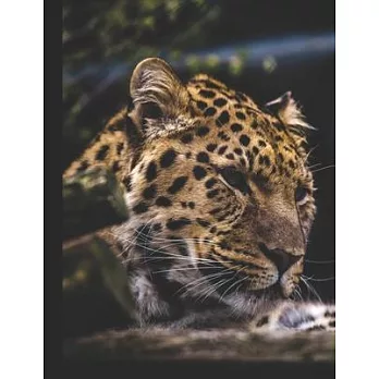 博客來-Daily Diary: Blank 2020 Journal Entry Writing Paper for Each Day of ...