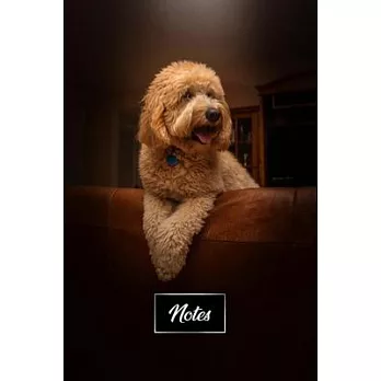 博客來-Poodle Dog Pup Puppy Doggie Notebook Bullet Journal Diary ...