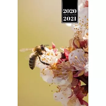 博客來-Bee Insects Beekeeping Beekeeper Week Planner Weekly Organizer ...