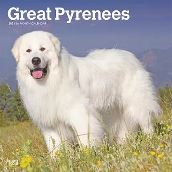 博客來-Great Pyrenees 2021 Square