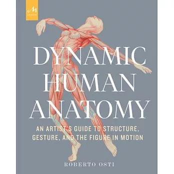 博客來-Dynamic Human Anatomy: An Artist’’s Guide to Structure, Gesture ...