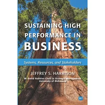 博客來-Sustaining High Performance in Business: Systems, Resources, and ...