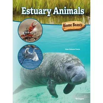 博客來-Estuary Animals