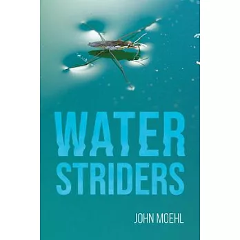 博客來-Water Striders