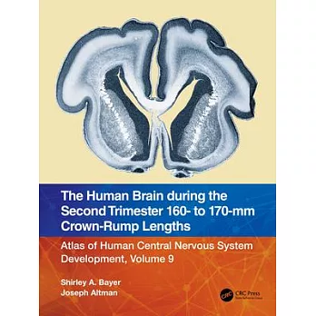 博客來-The Human Brain During the Second Trimester 160- To 170-MM Crown ...