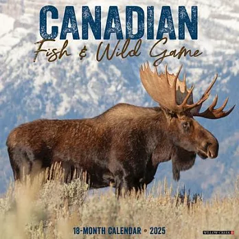 博客來-Canadian Fish & Wild Game 2025 12 X 12 Wall Calendar (Wildlife)