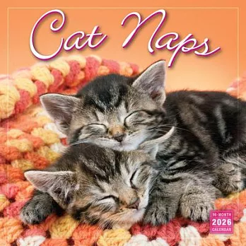 博客來-2026 Cat Naps Wall Calendar