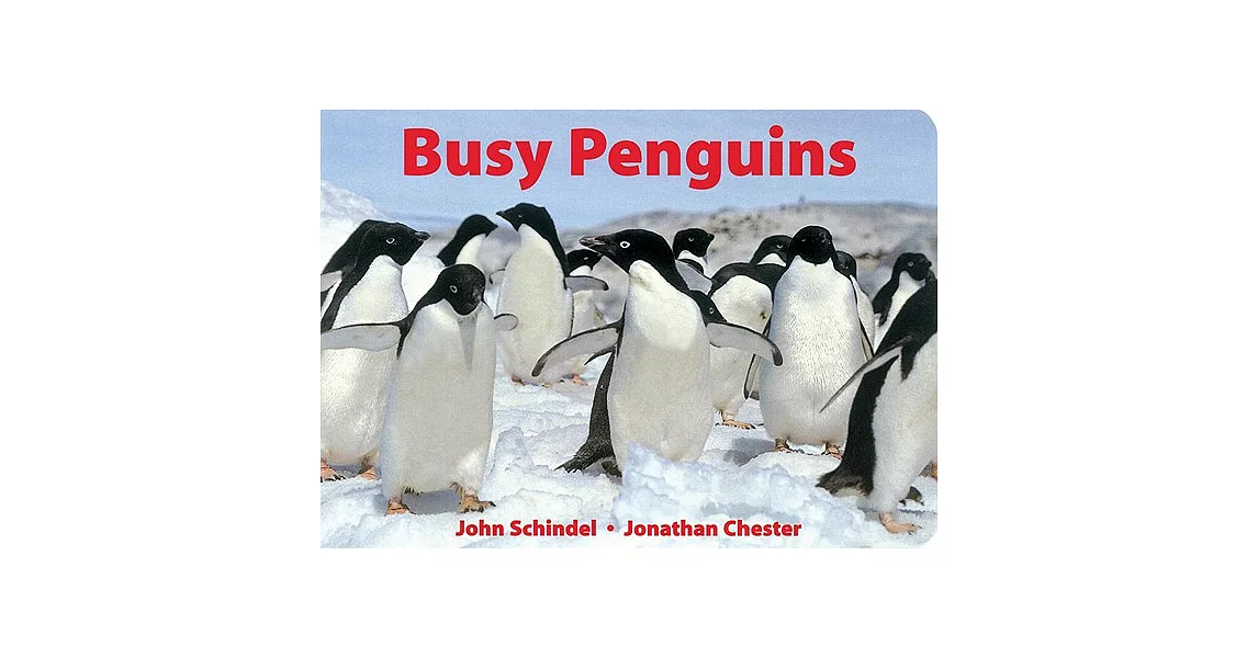 博客來-Busy Penguins