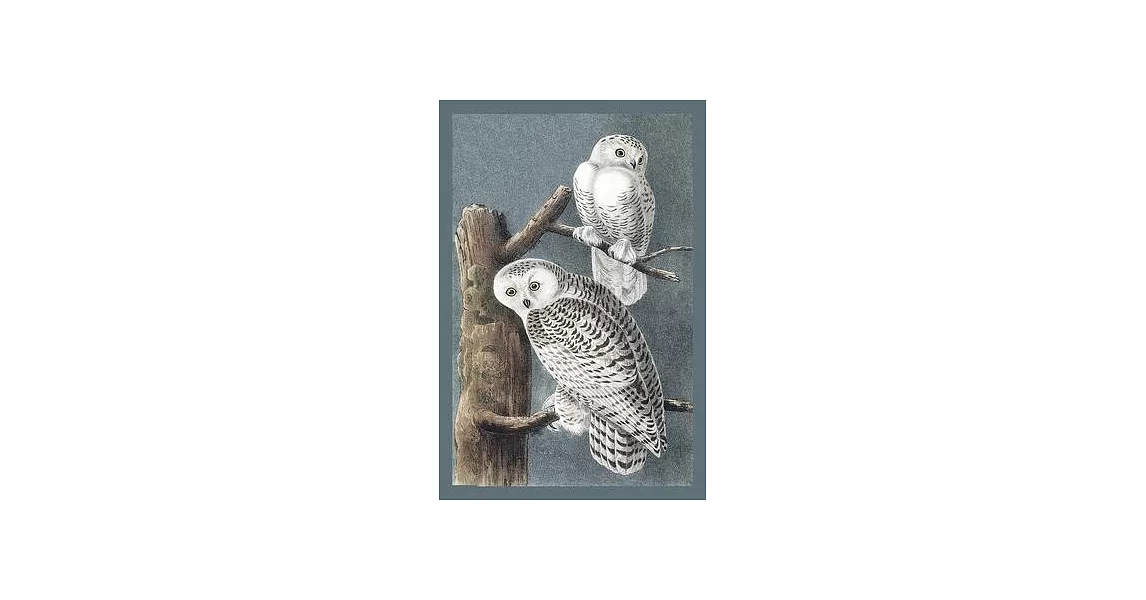 博客來-Journal: Snowy Owl 6x9 - GRAPH JOURNAL - Journal with graph paper ...