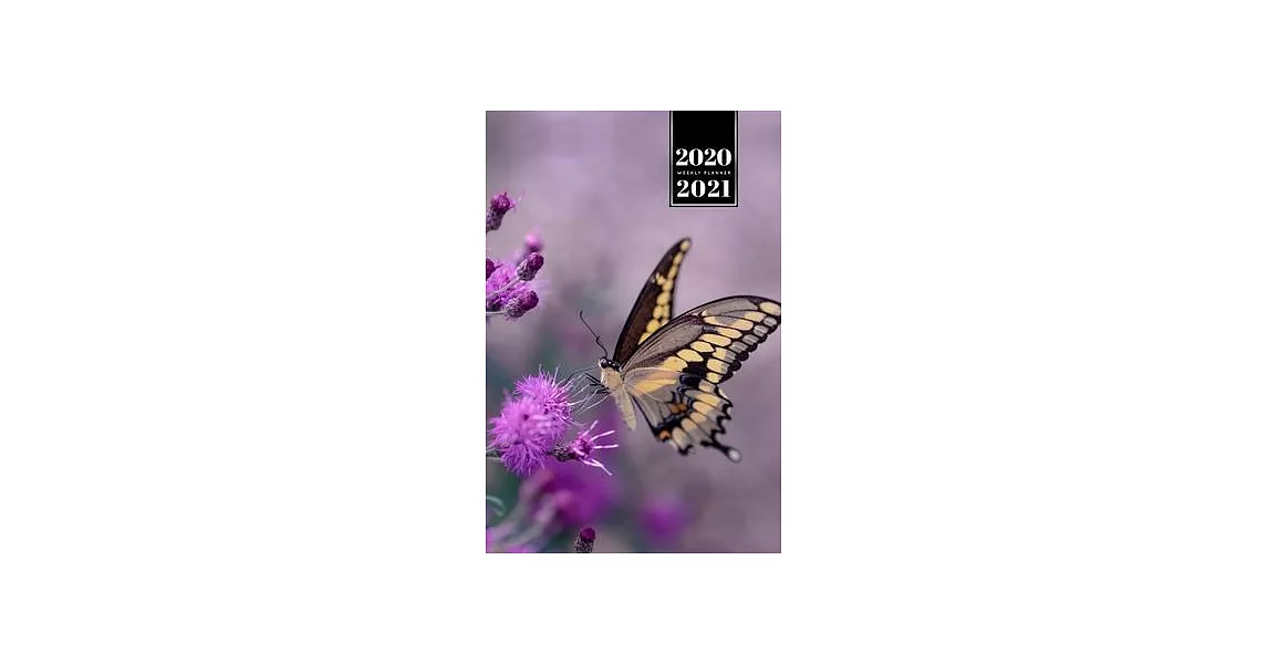 博客來-Butterfly Butterflies Insect Week Planner Weekly Organizer Calendar ...