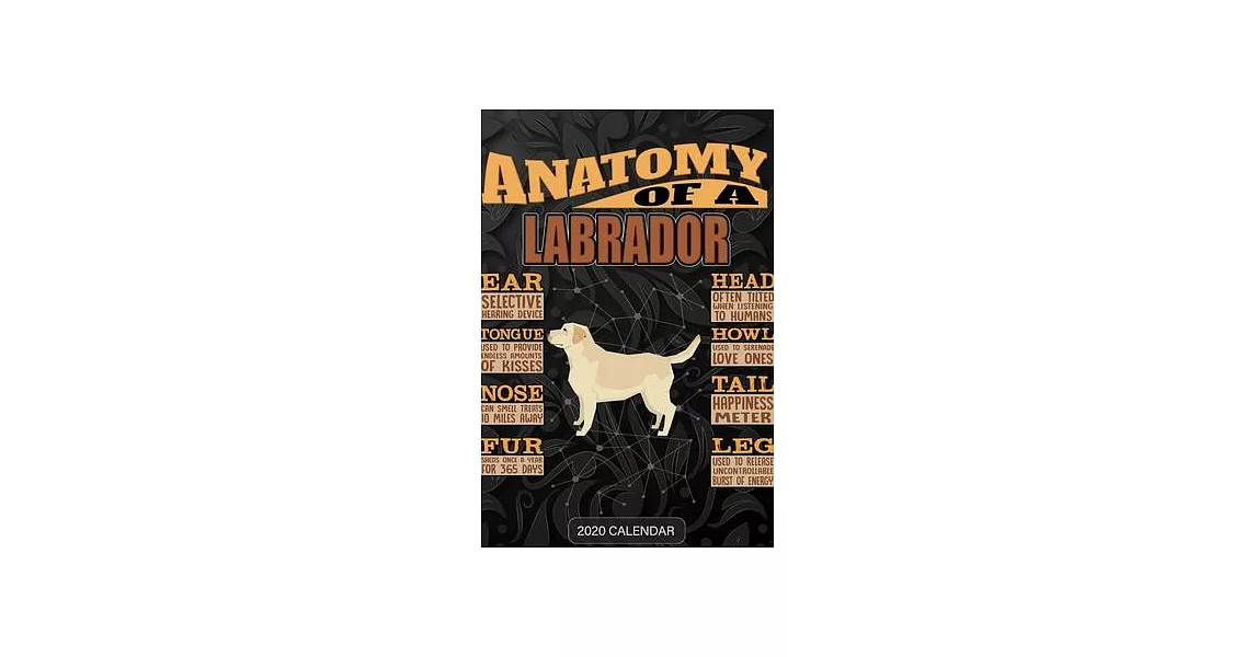 博客來-Anatomy Of A Labrador Retriever: Labrador Retriever 2020 Calendar ...