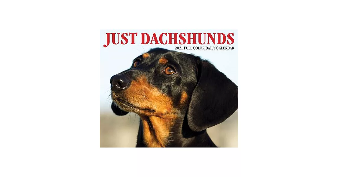 博客來-Just Dachshunds 2021 Box Calendar (Dog Breed Calendar)