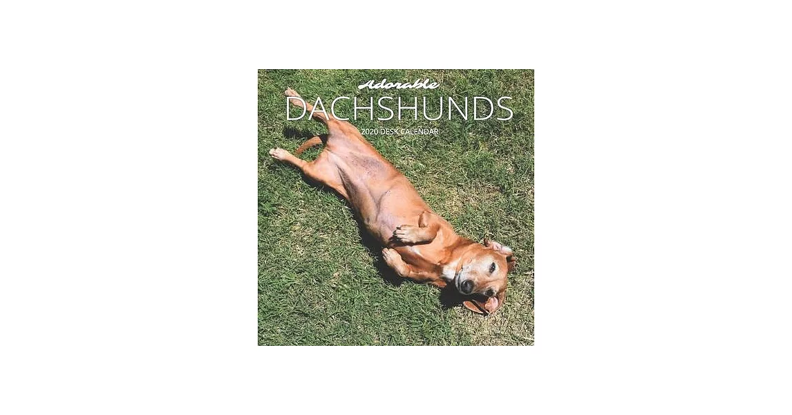 博客來-Adorable Dachshunds 2020 Desk Calendar: Cute Dogs, 8.5 x 8.5, 12 Month Mini Calendar Planner ...