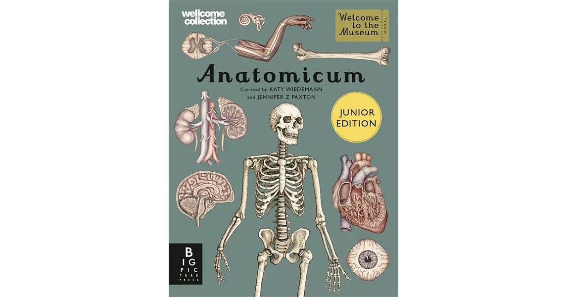 博客來-Anatomicum Junior