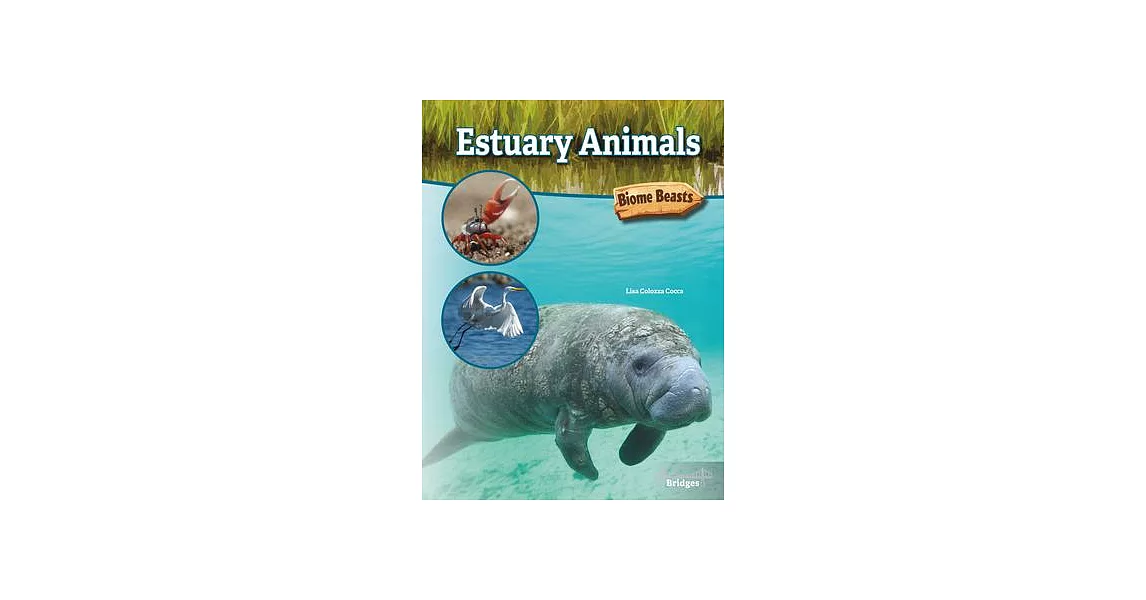 博客來-Estuary Animals