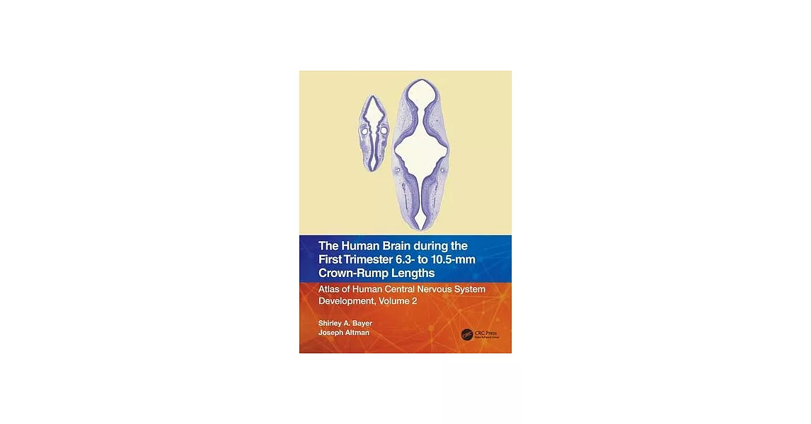 博客來-The Human Brain During the First Trimester 6.3 to 10.5 MM Crown ...