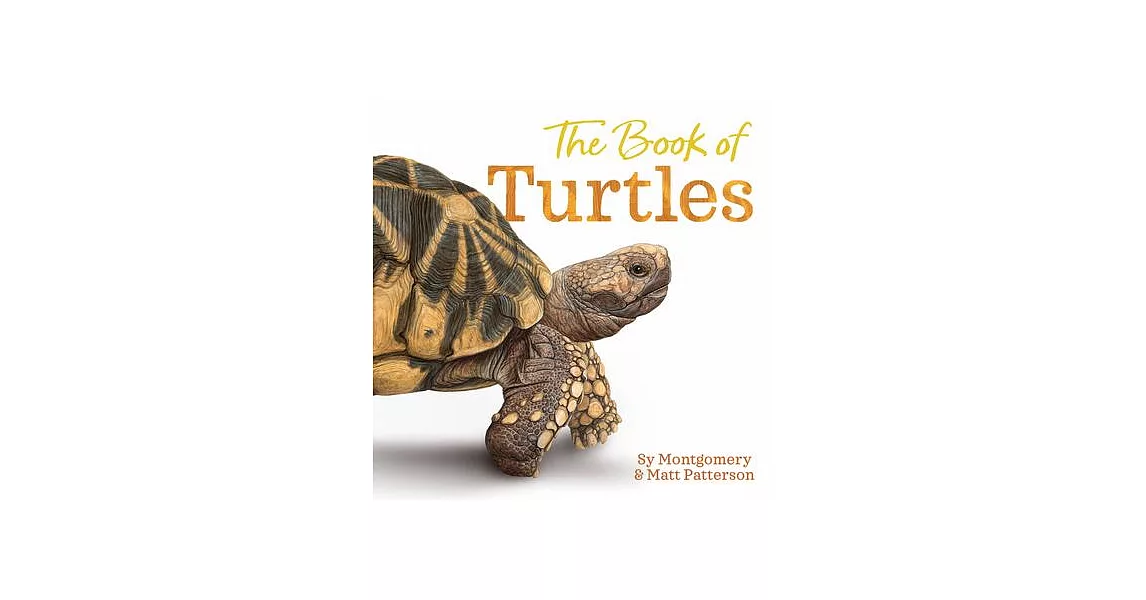 博客來-The Book of Turtles