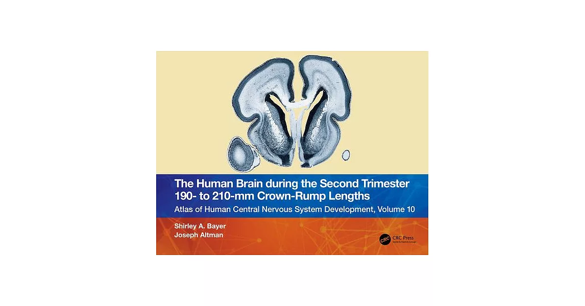 博客來-The Human Brain During the Second Trimester 190- To 210-MM Crown ...
