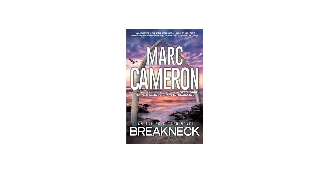 博客來-Breakneck: A Captivating Novel of Suspense