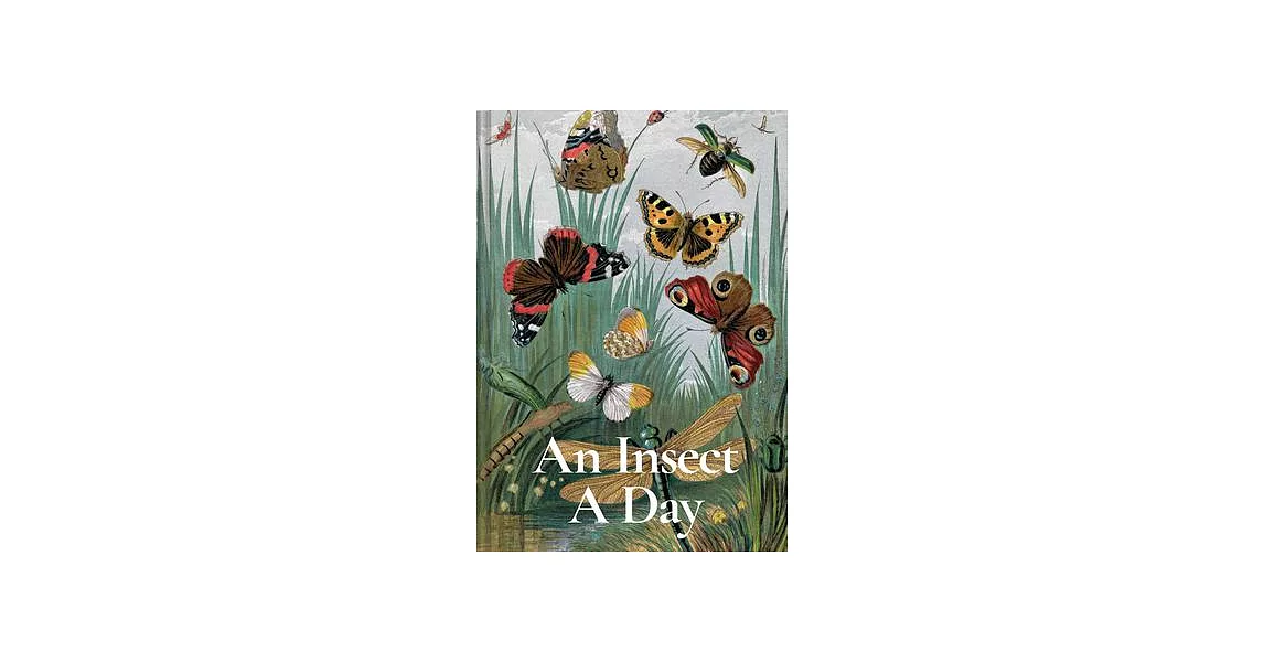 博客來-An Insect a Day