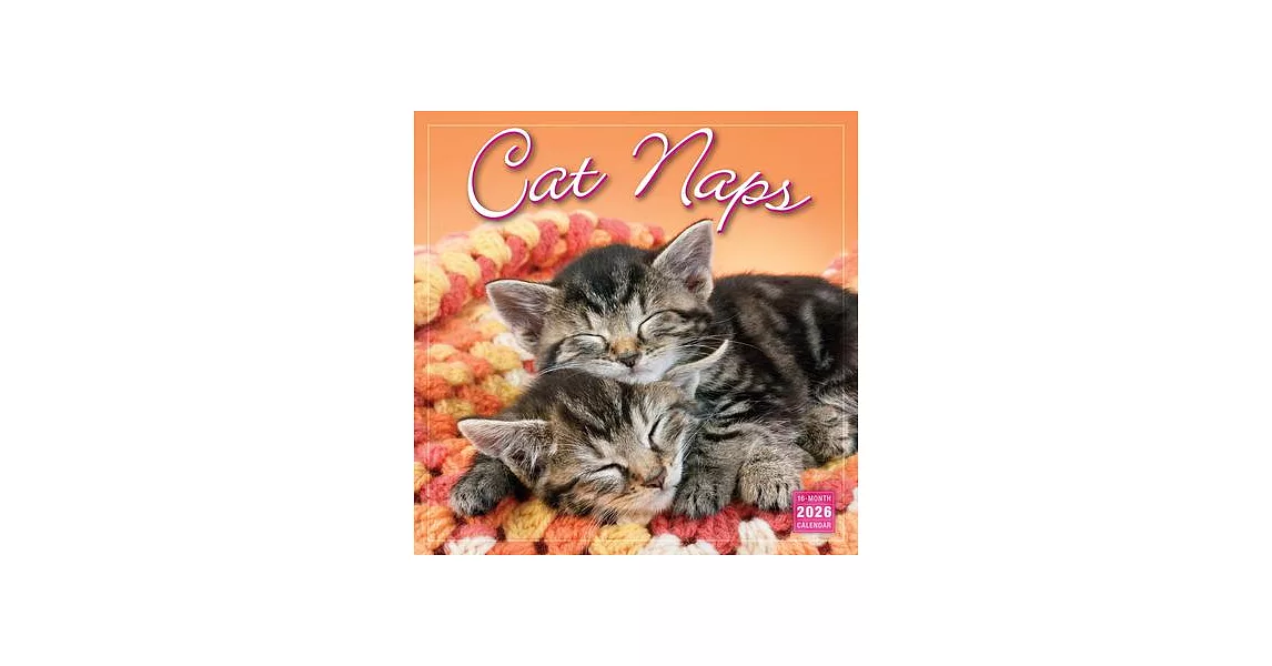 博客來-2026 Cat Naps Wall Calendar
