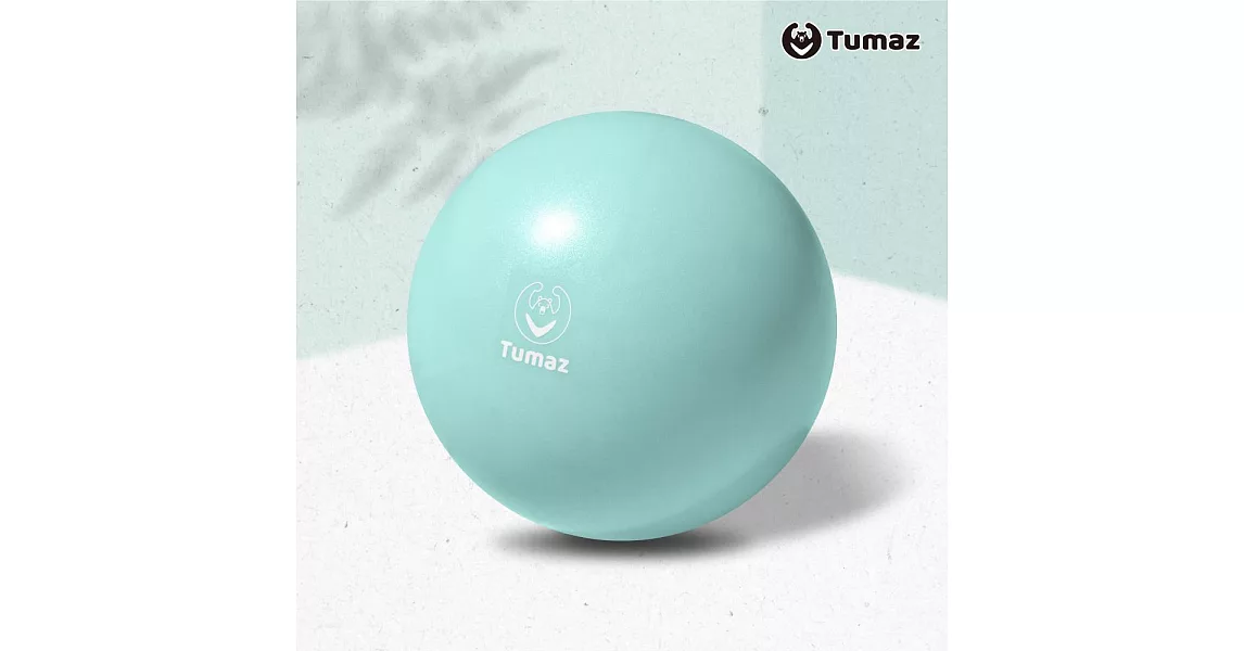 博客來-【Tumaz月熊健身】25cm皮拉提斯 瑜珈小球 海洋綠